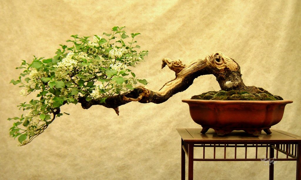 سروده‌هایی از بهزاد زرین‌پور - صفحه‌ای برای پرشور زیستن